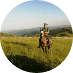 Home - Horse Adventure Serbia