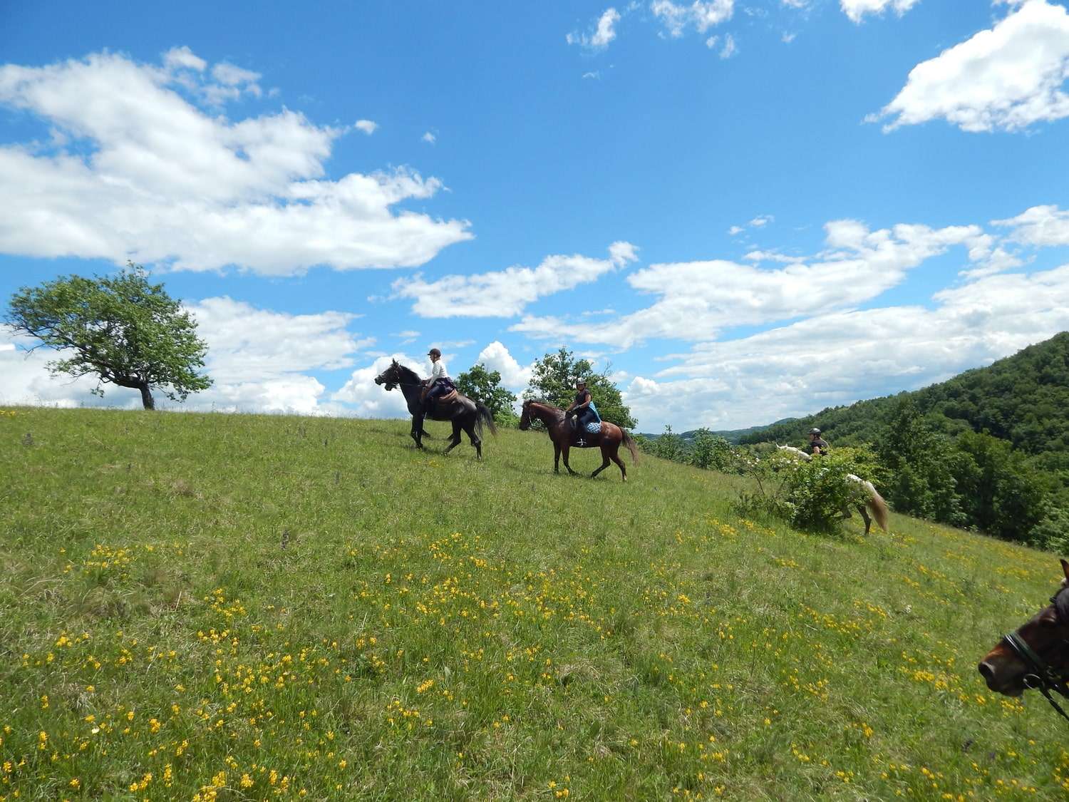 Sumadija Ritt – Horse Adventure Serbia